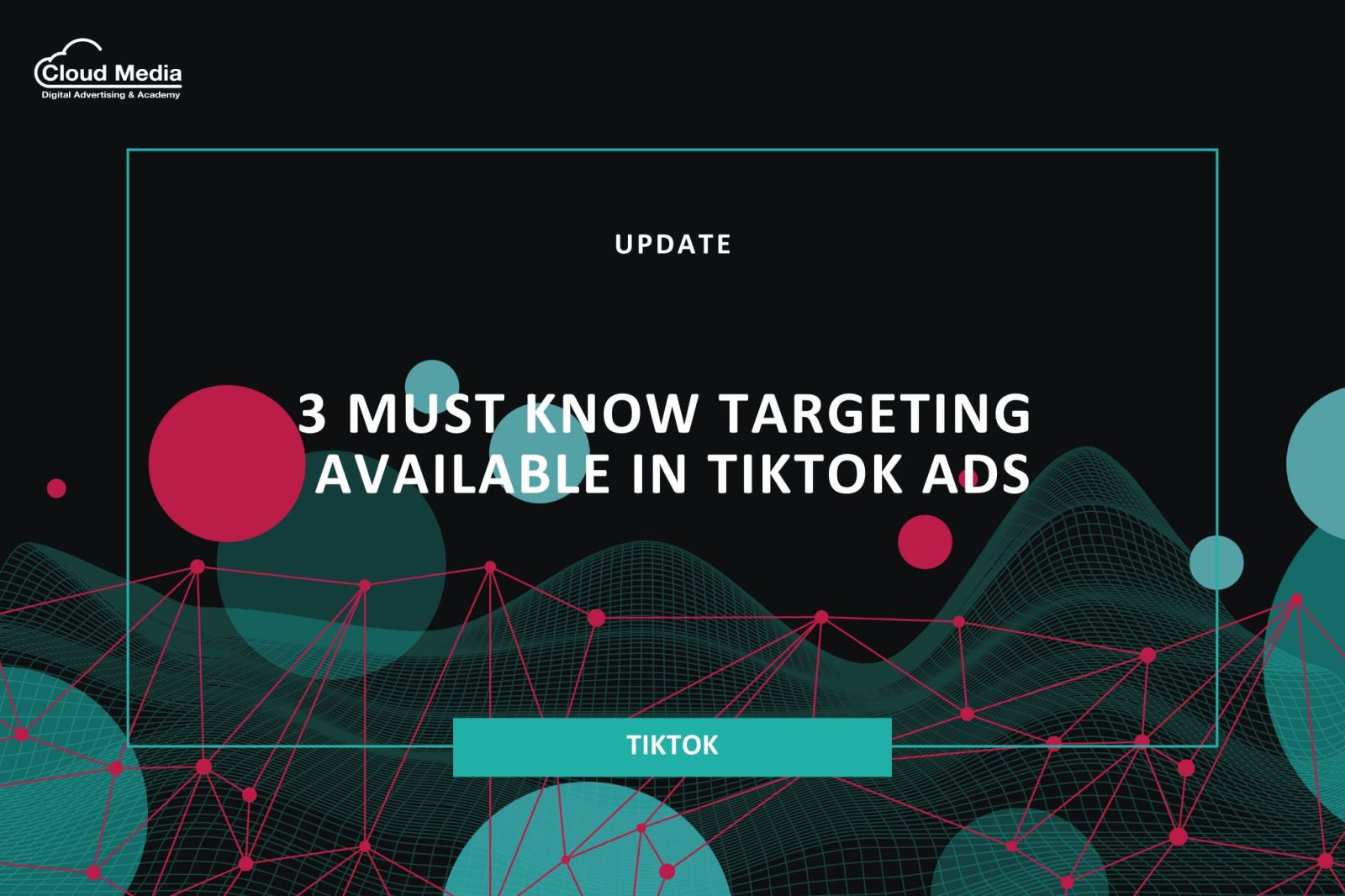 3 Must Know Targeting Available in TikTok Ads - Cloud Media Academy